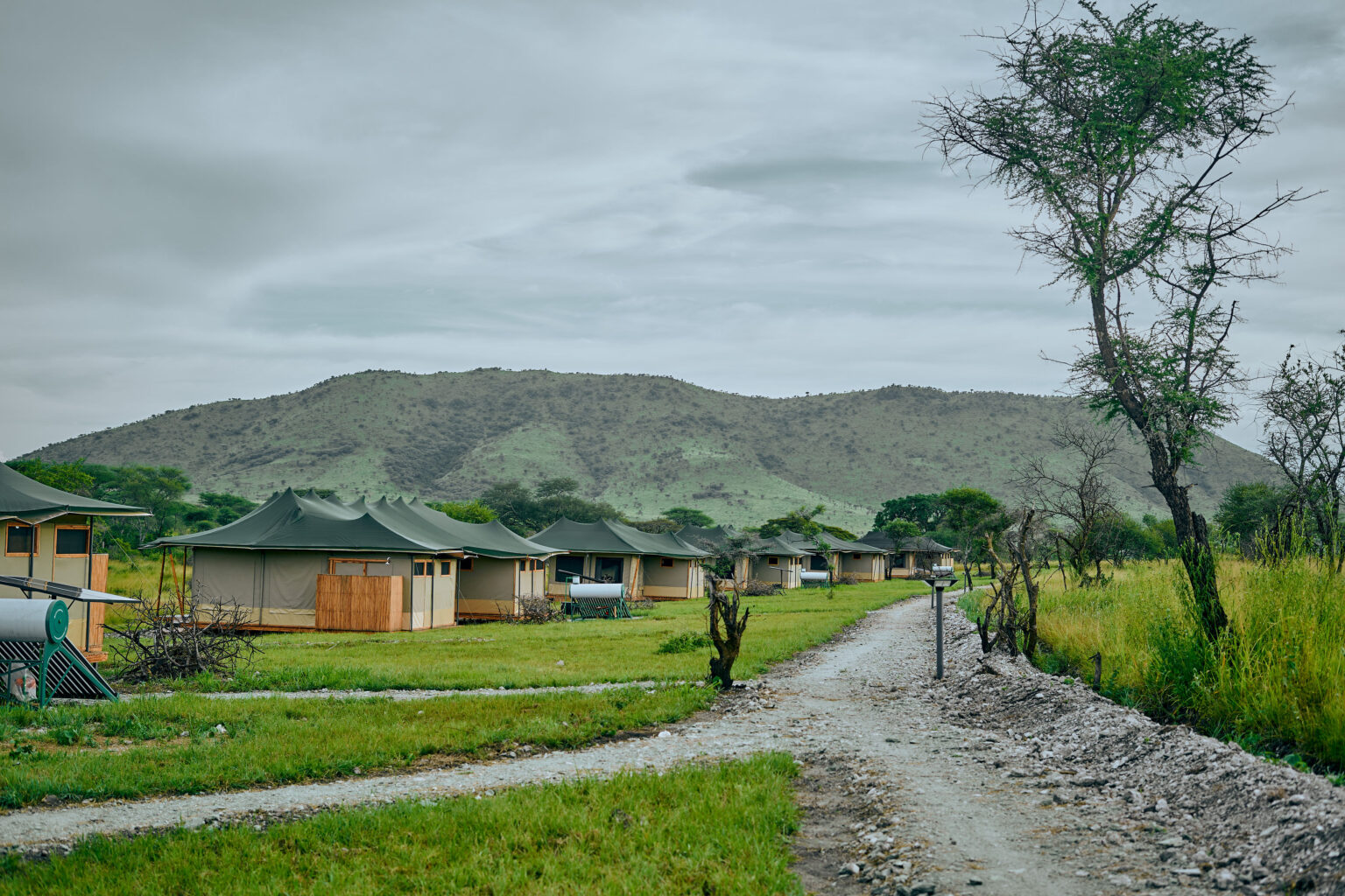Land of Nature Camps & Lodges - Unveiling Serengeti's Untamed Beauty